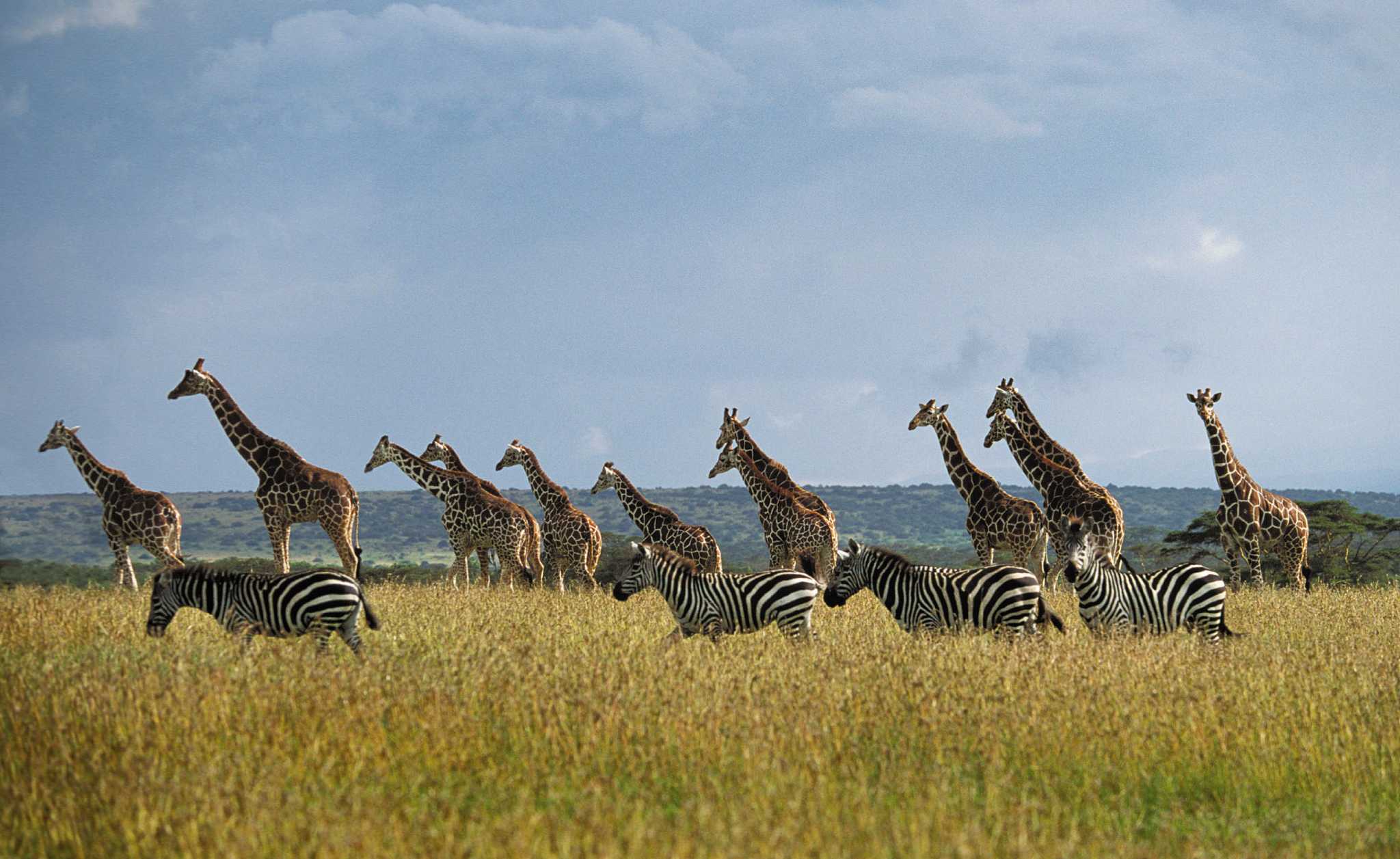 Once-in-a-lifetime safari
