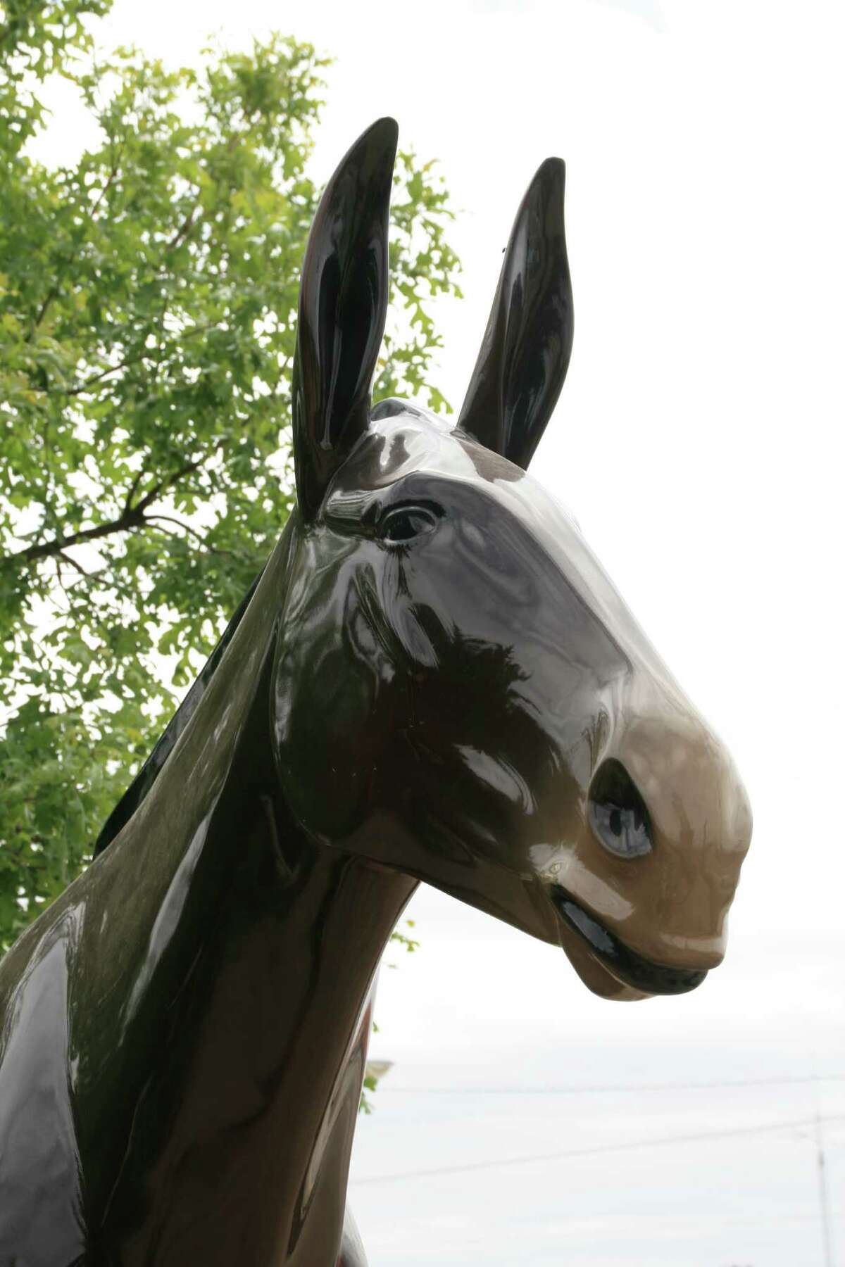 Hale: Camera-shy mule says Texas capitol needs a mule statue