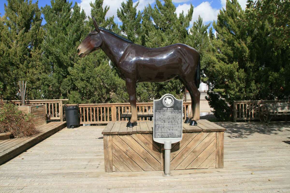 Hale: Camera-shy mule says Texas capitol needs a mule statue