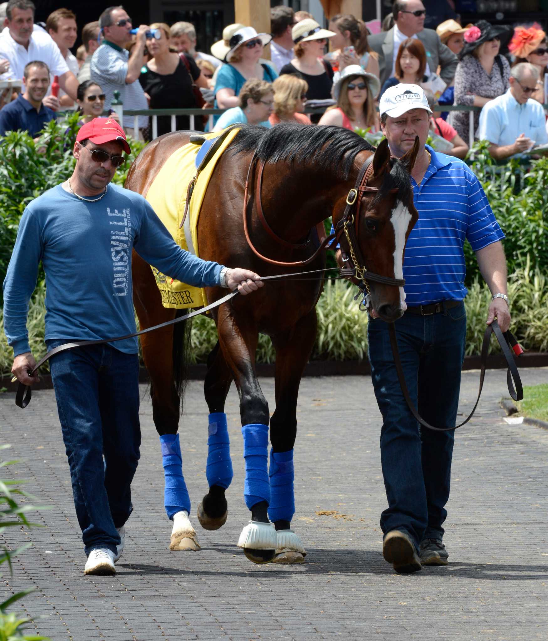 Derby repeat a long shot