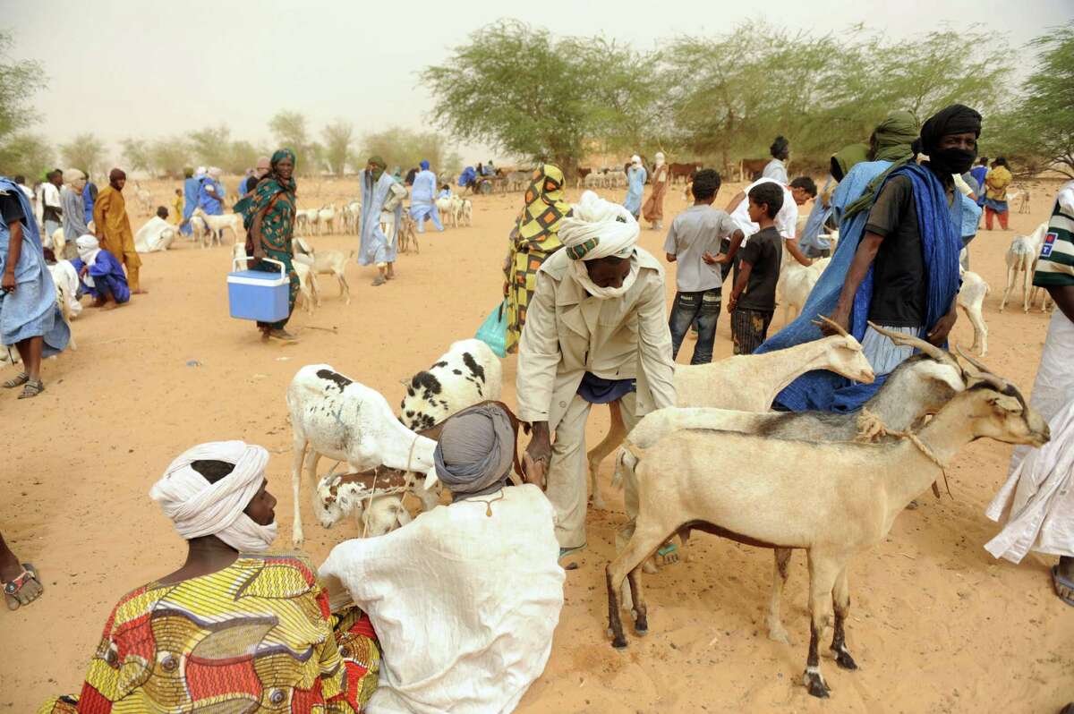 World news in photos: Mali refugees face starvation