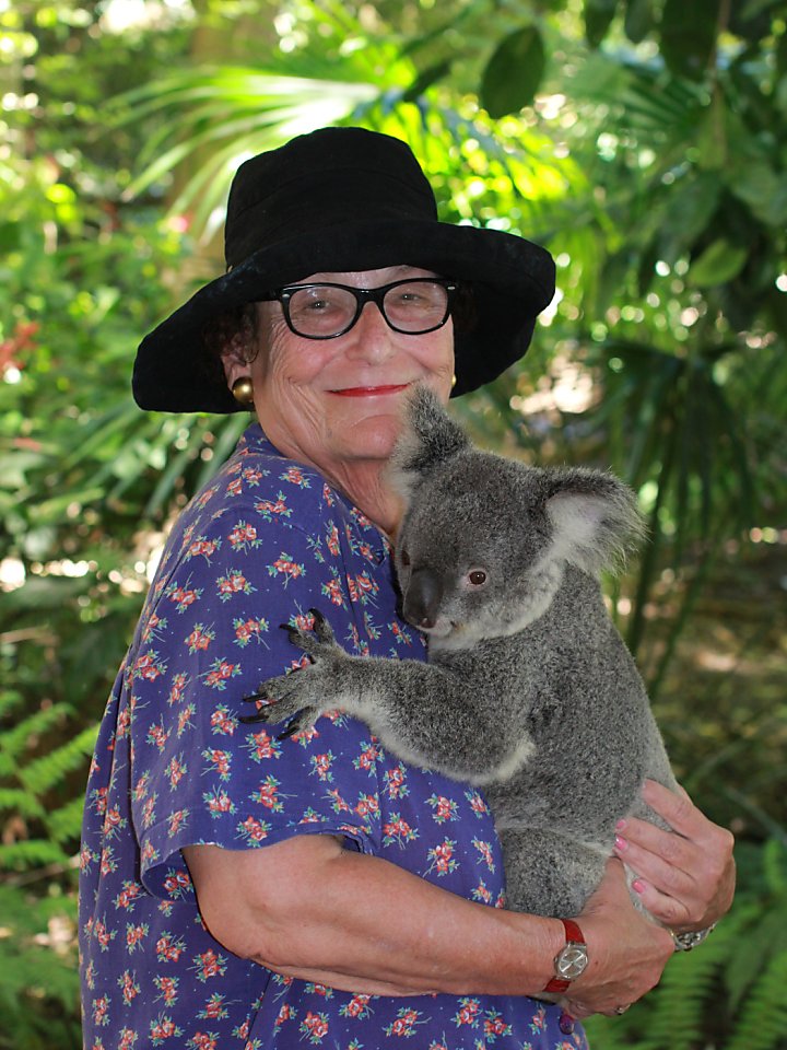 Hold a koala in Brisbane, Australia