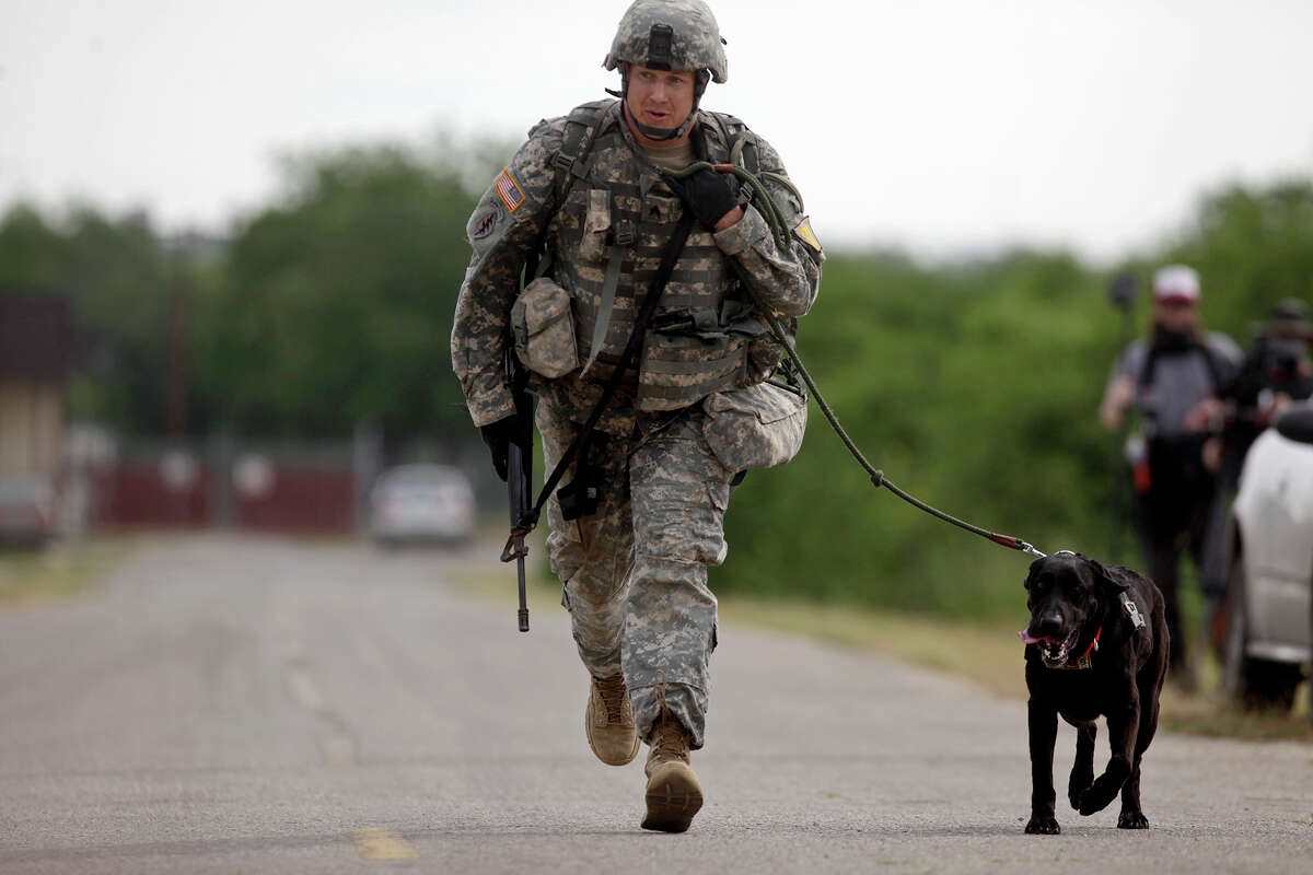 Monument for dogs used in military to be dedicated