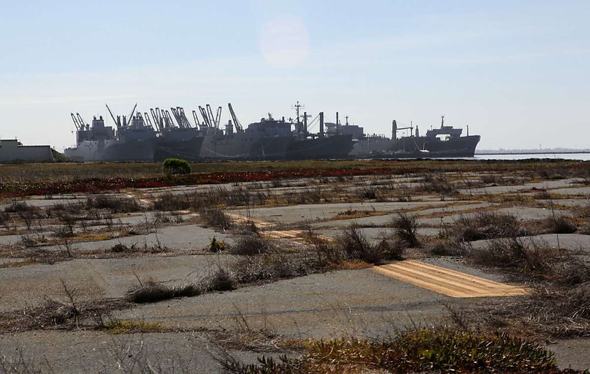 Alameda Navy base now a much-sought wildlife Eden