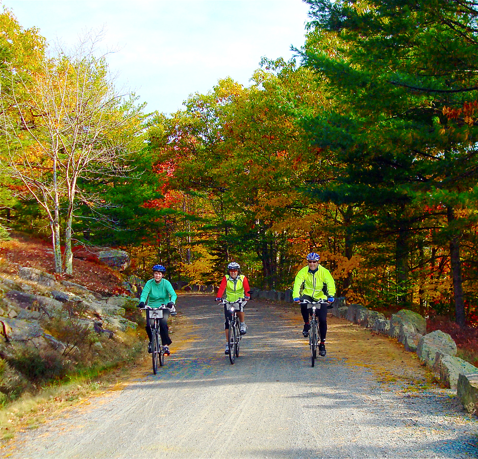 Get close to nature on these cycling adventures