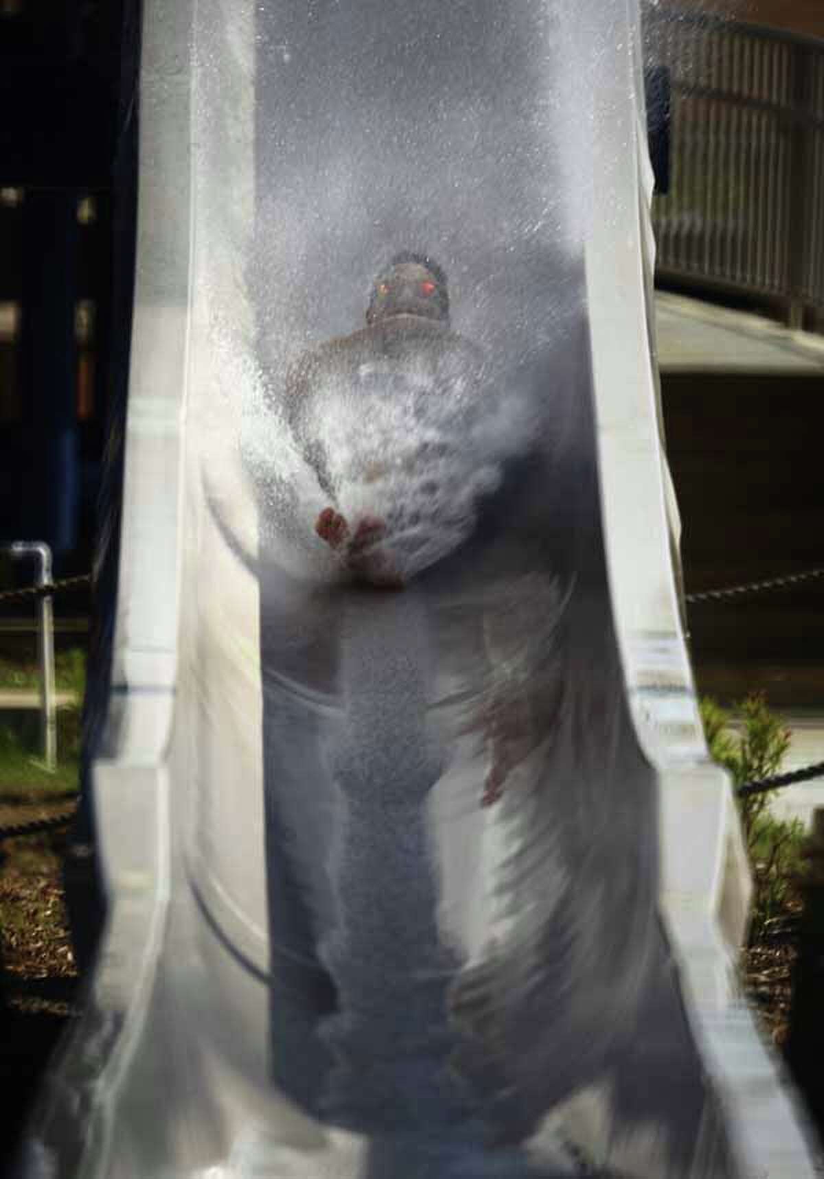 Cuts, bruises and dislocations among injuries suffered at Houston-area ...