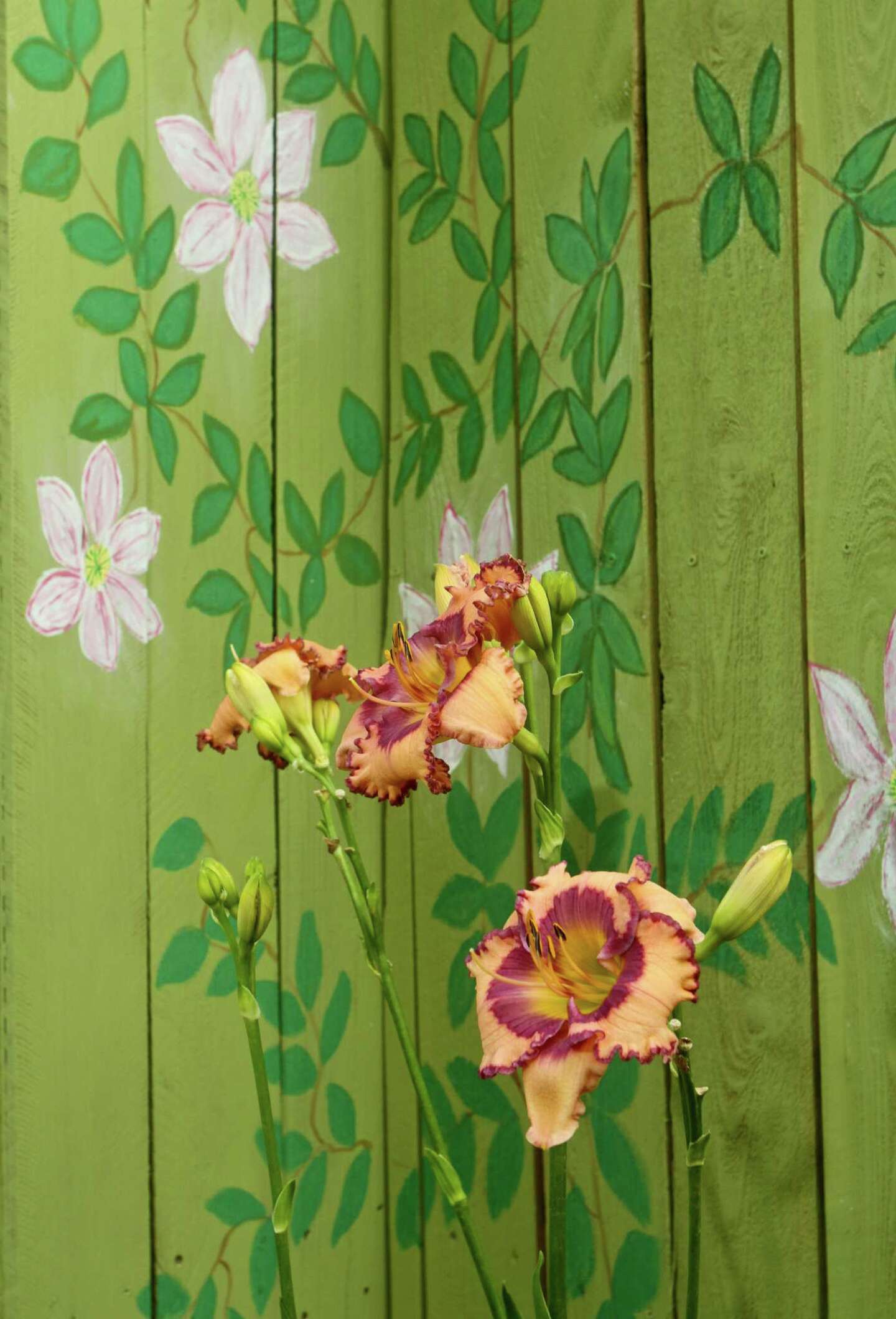 May is merry with daylilies