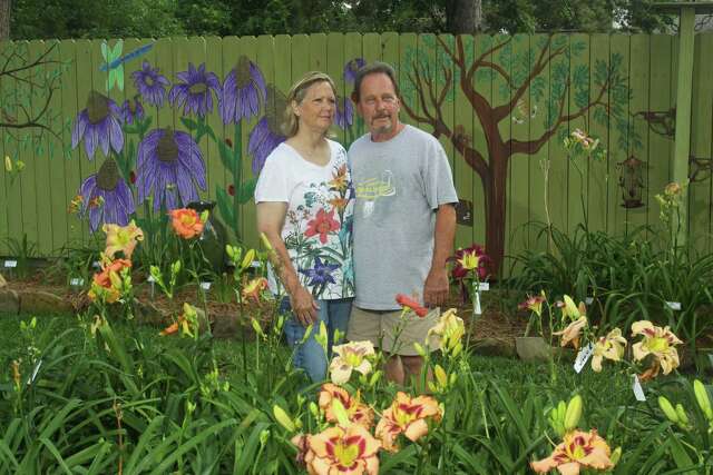 May is merry with daylilies