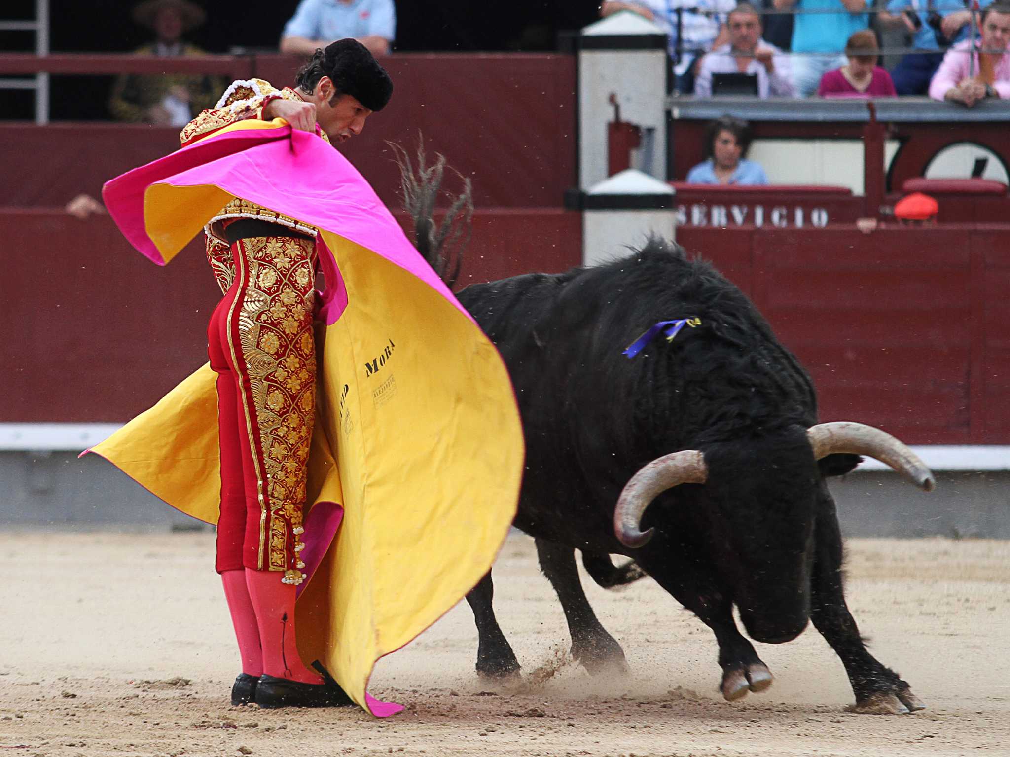 Bull fighting in Spain