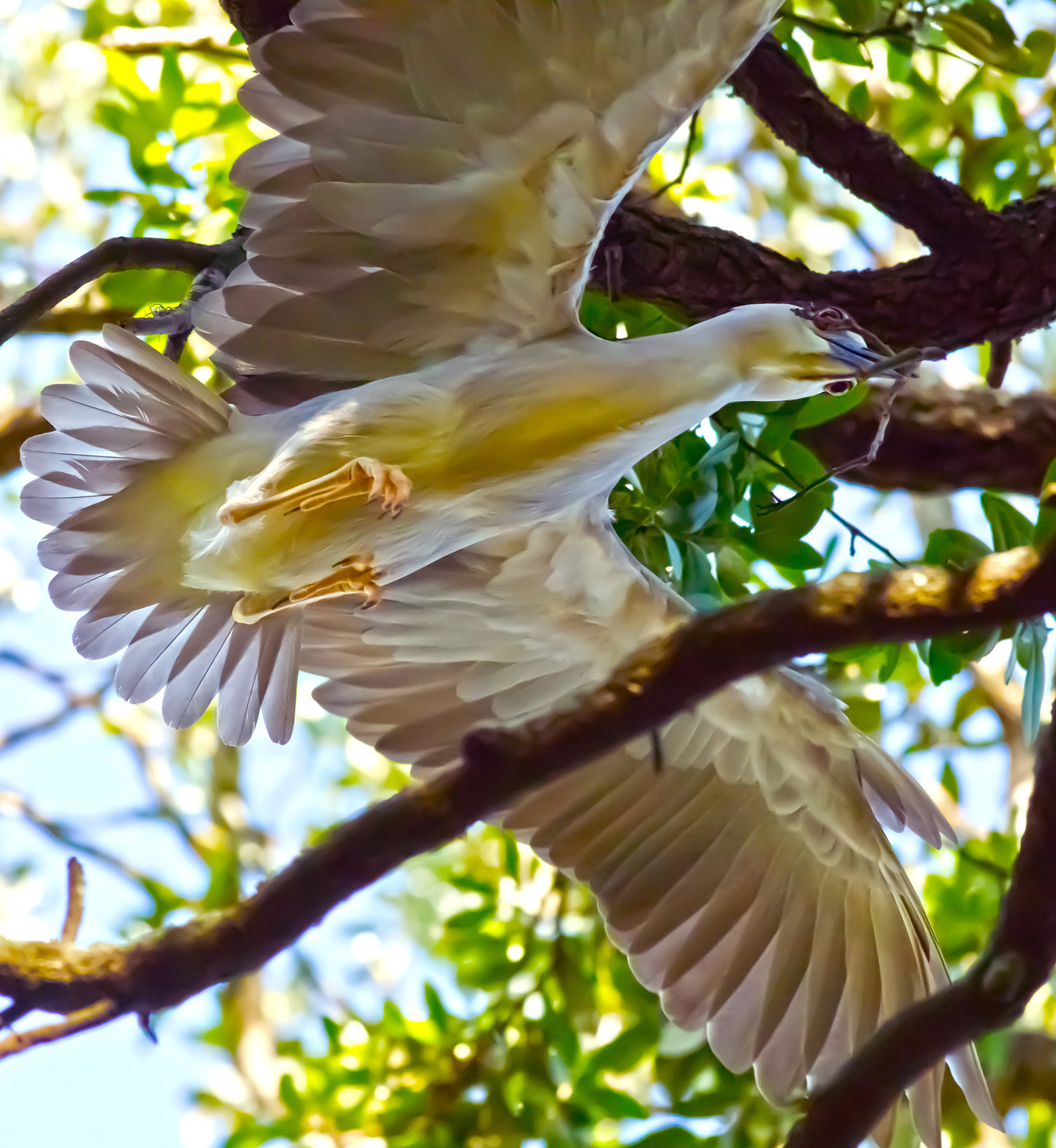 Professor finds new career in photography