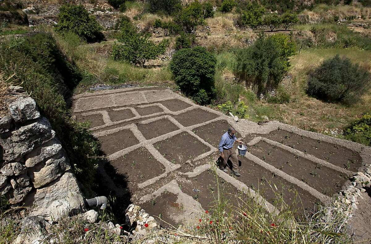 Palestinian village's ancient farming in danger