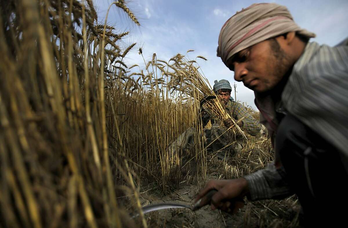 India crops have storage, transportation woes