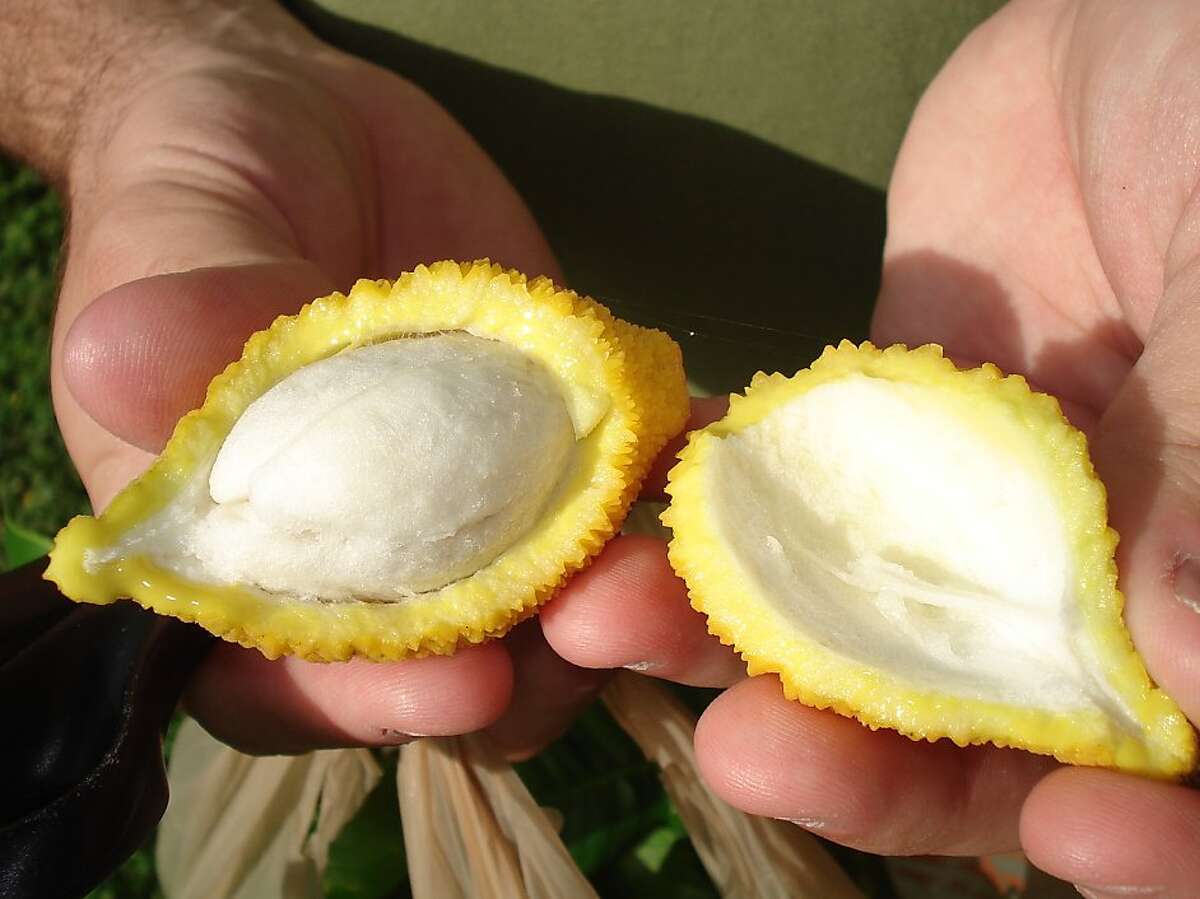 Beyond pineapple: Hawaiian farmer cultivates taste for exotic fruits