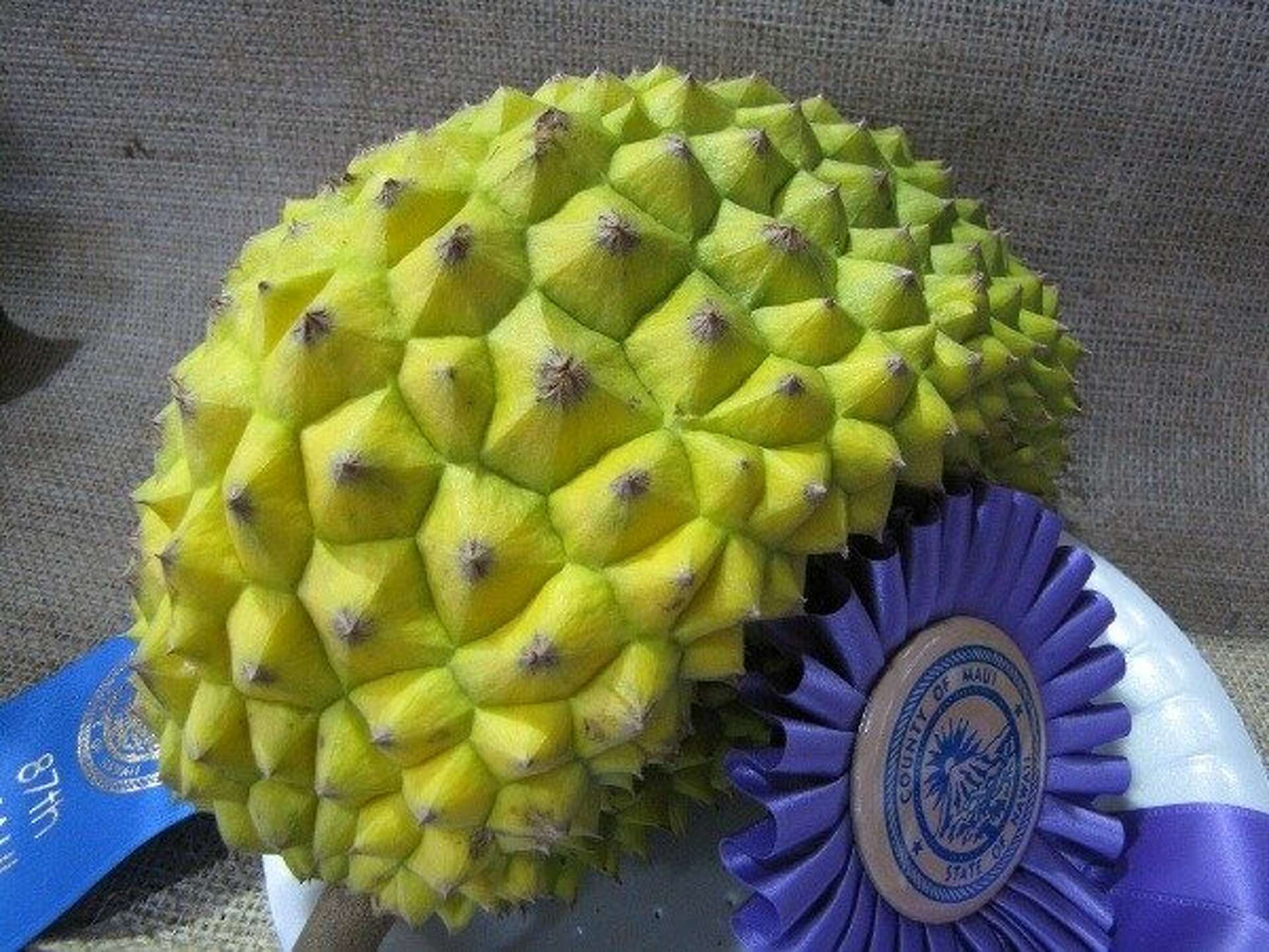 Beyond pineapple: Hawaiian farmer cultivates taste for exotic fruits