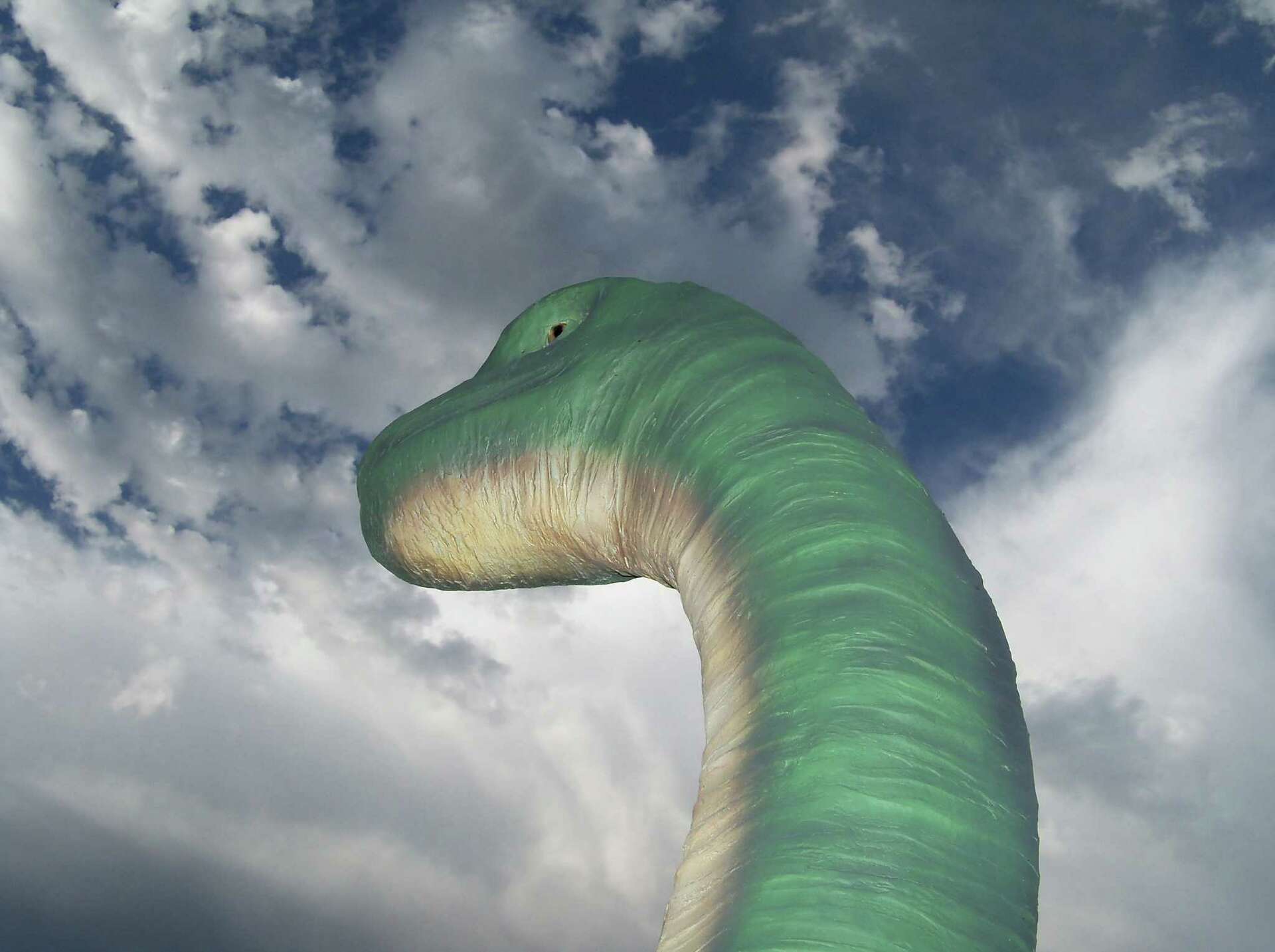 On the trail of dinosaurs in Texas