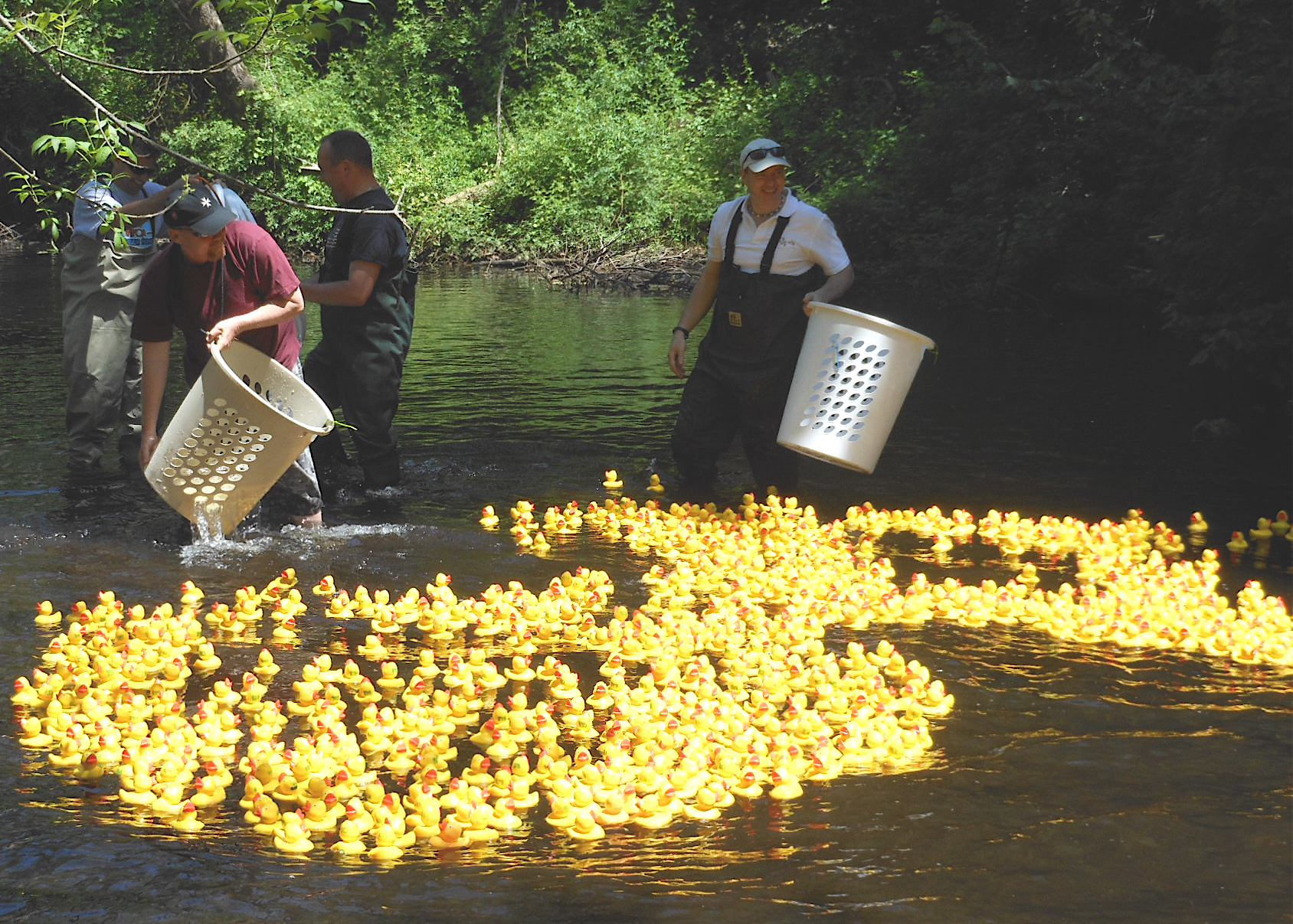 Flock of rubber duckies takes plunge for St. Catherine's