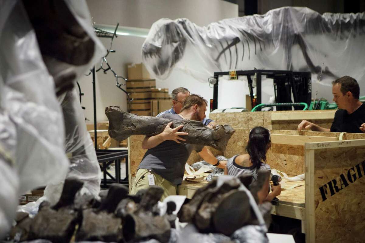 Museum unveils $85 million dinosaur hall