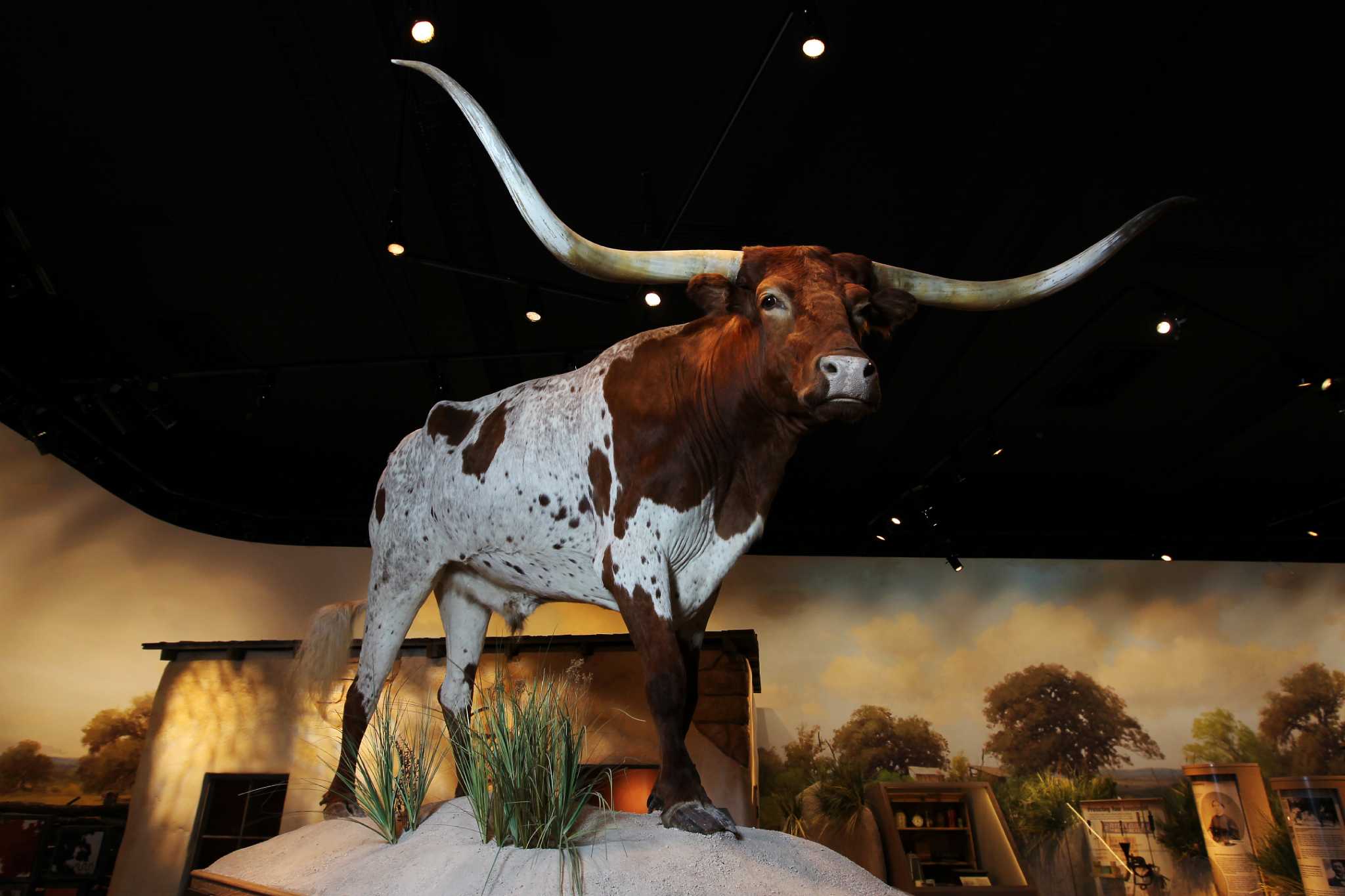 Taking history by the horns