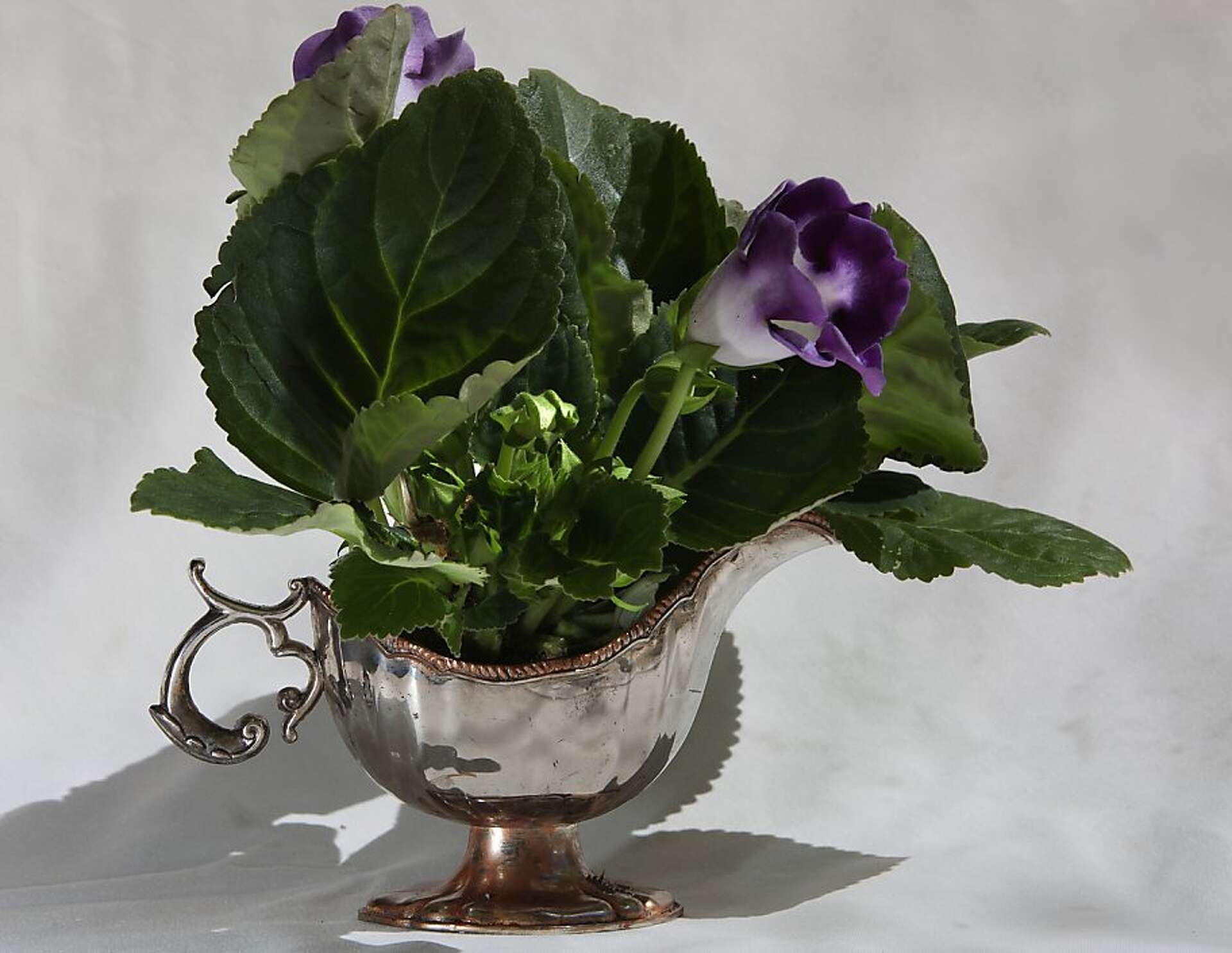 Serving up new ways to reuse silver-plated discards