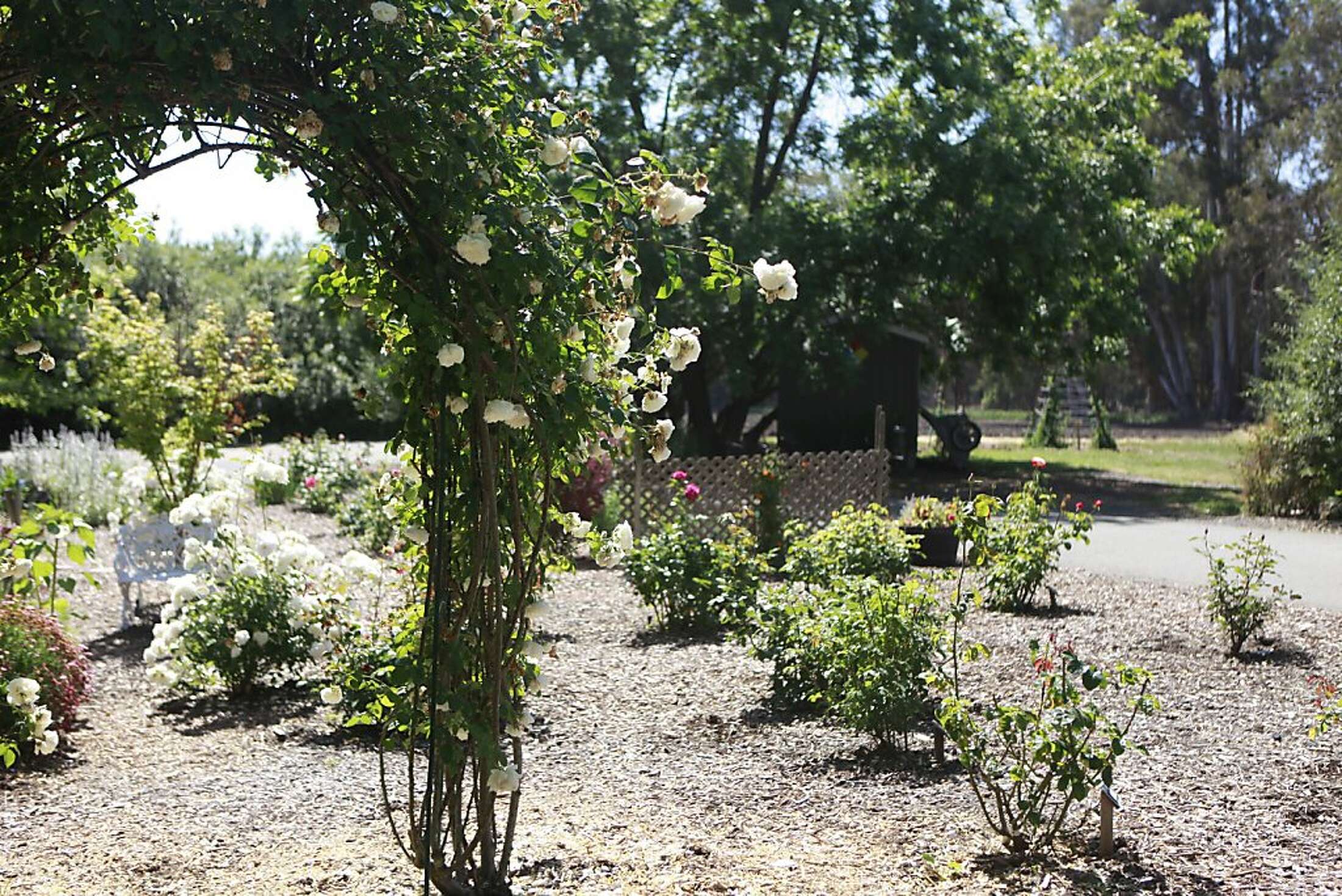 Ardenwood Historic Farm: interactive vintage site