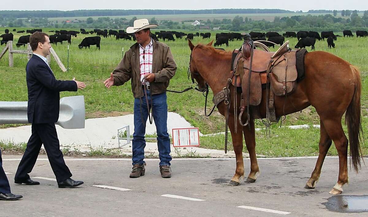 U.S. cowboys help Russia raise more cattle