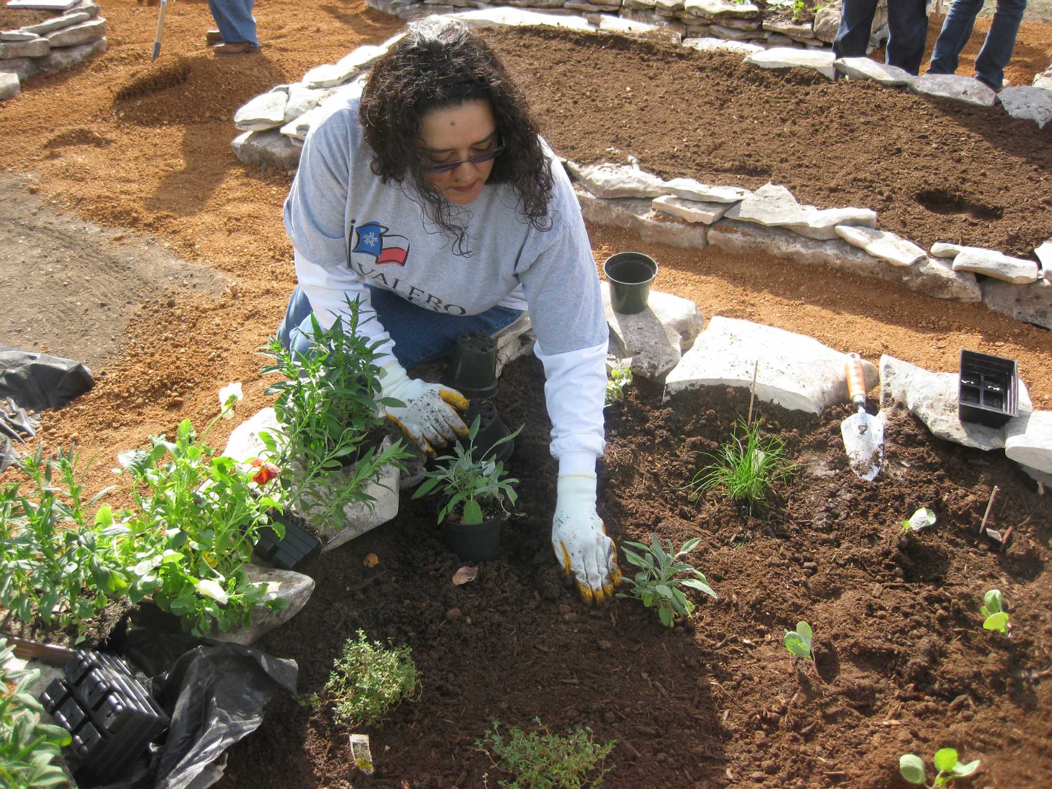 Workers create a garden 'full of promise'