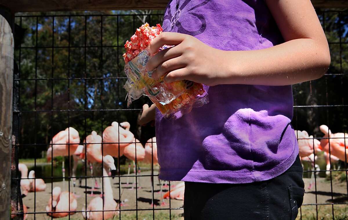 Pink popcorn a favorite food at S.F. Zoo