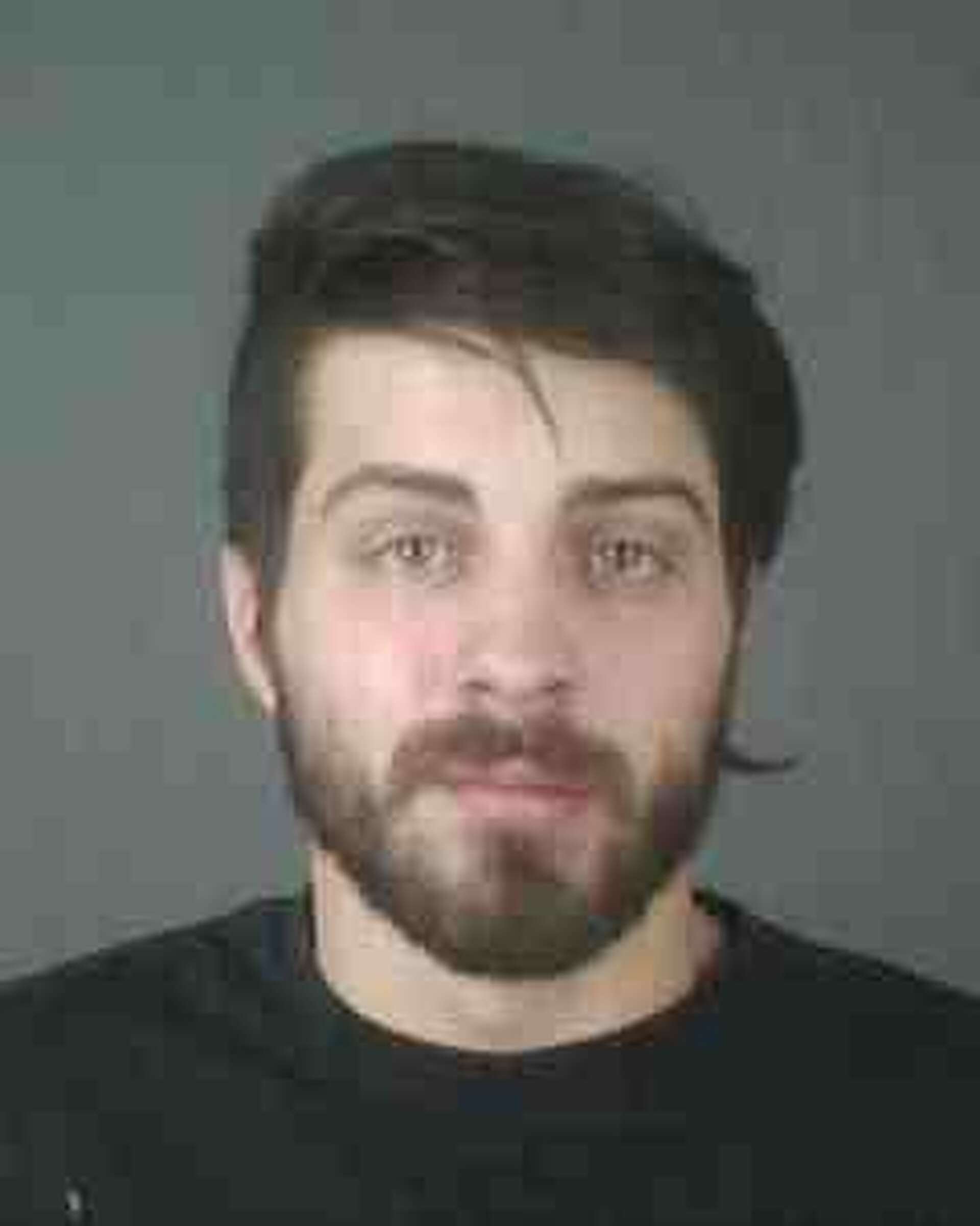 Cops say two fired pellets