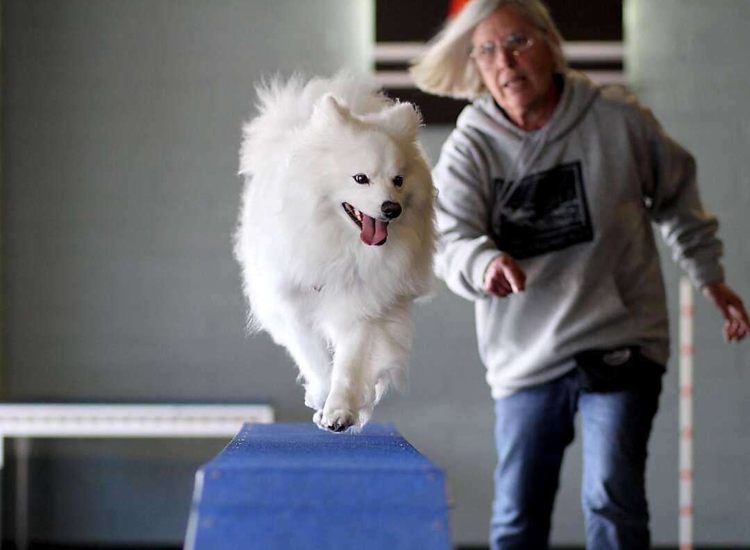 Monterey Peninsula a doggie dreamland