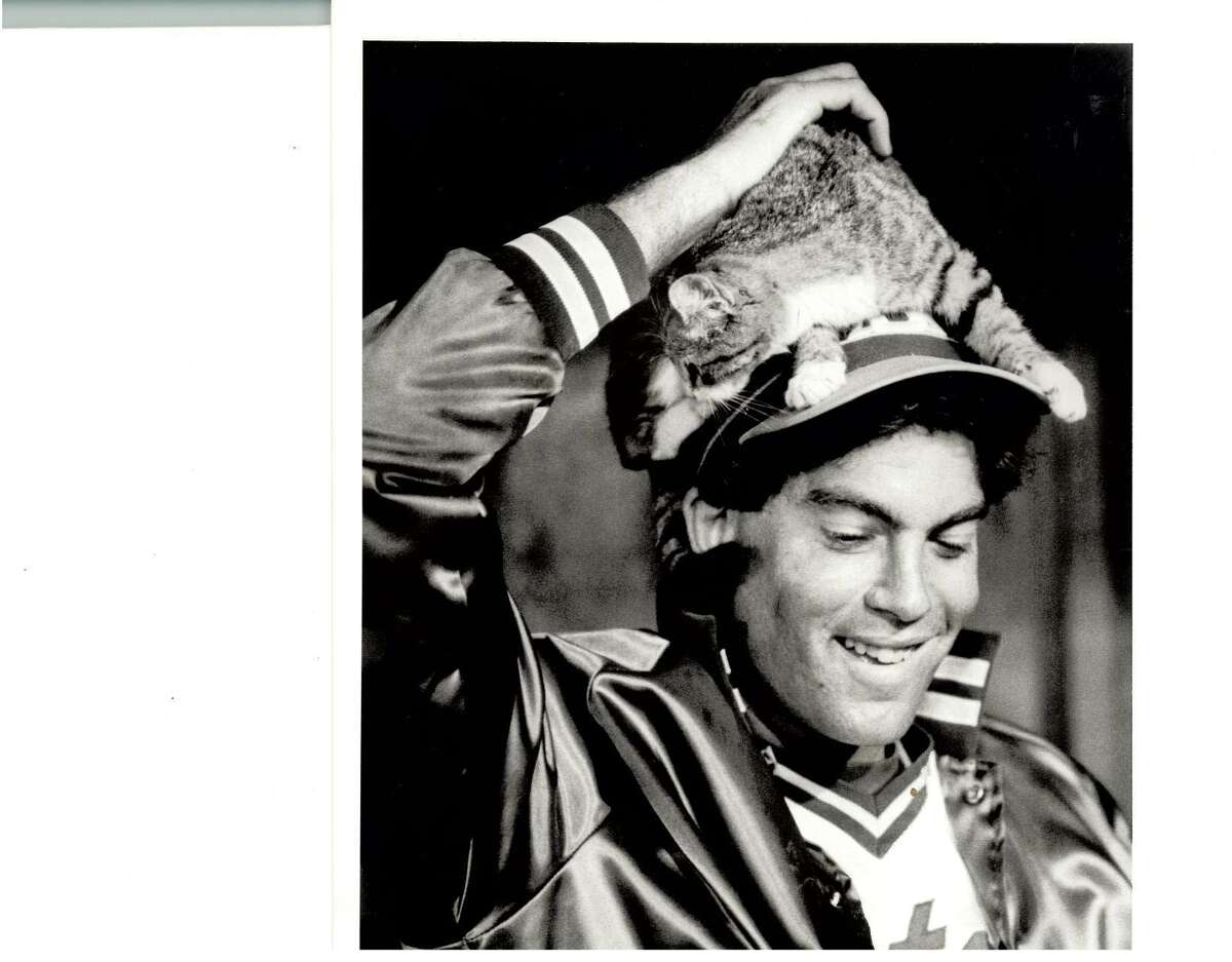 Golden Gators revisited