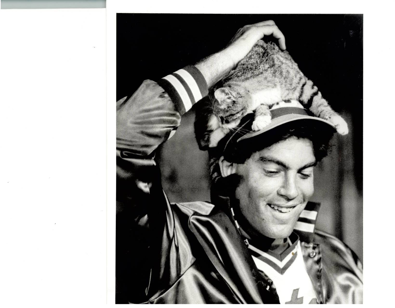 Golden Gators revisited