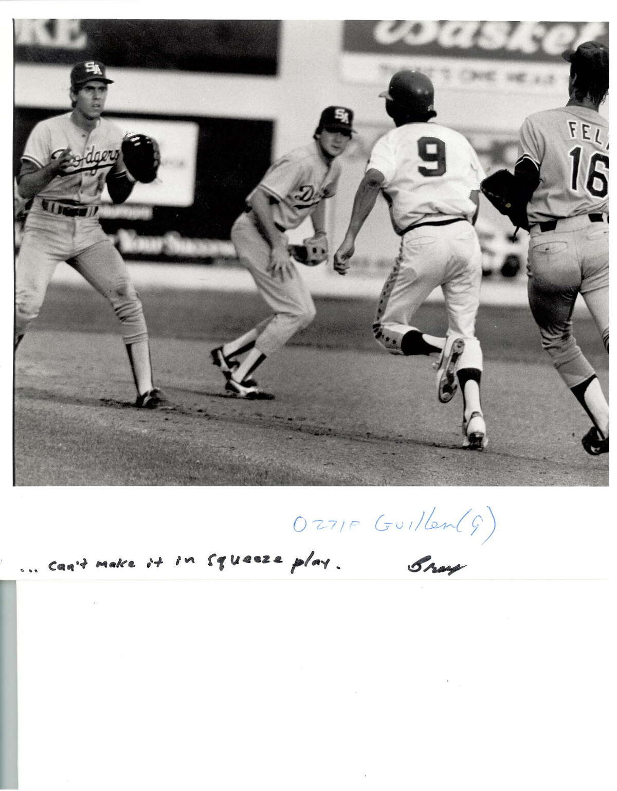 Golden Gators revisited