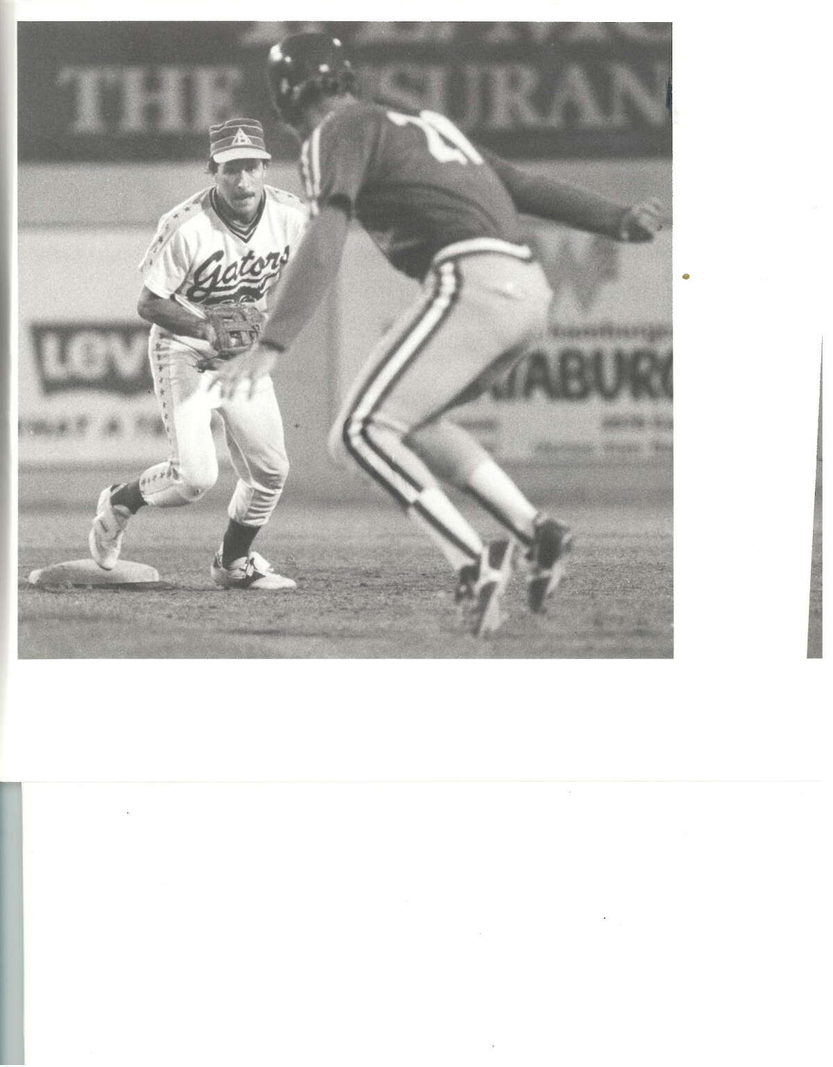 Golden Gators revisited