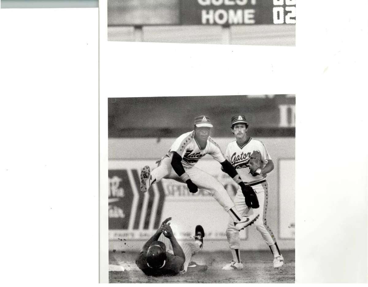 Golden Gators revisited