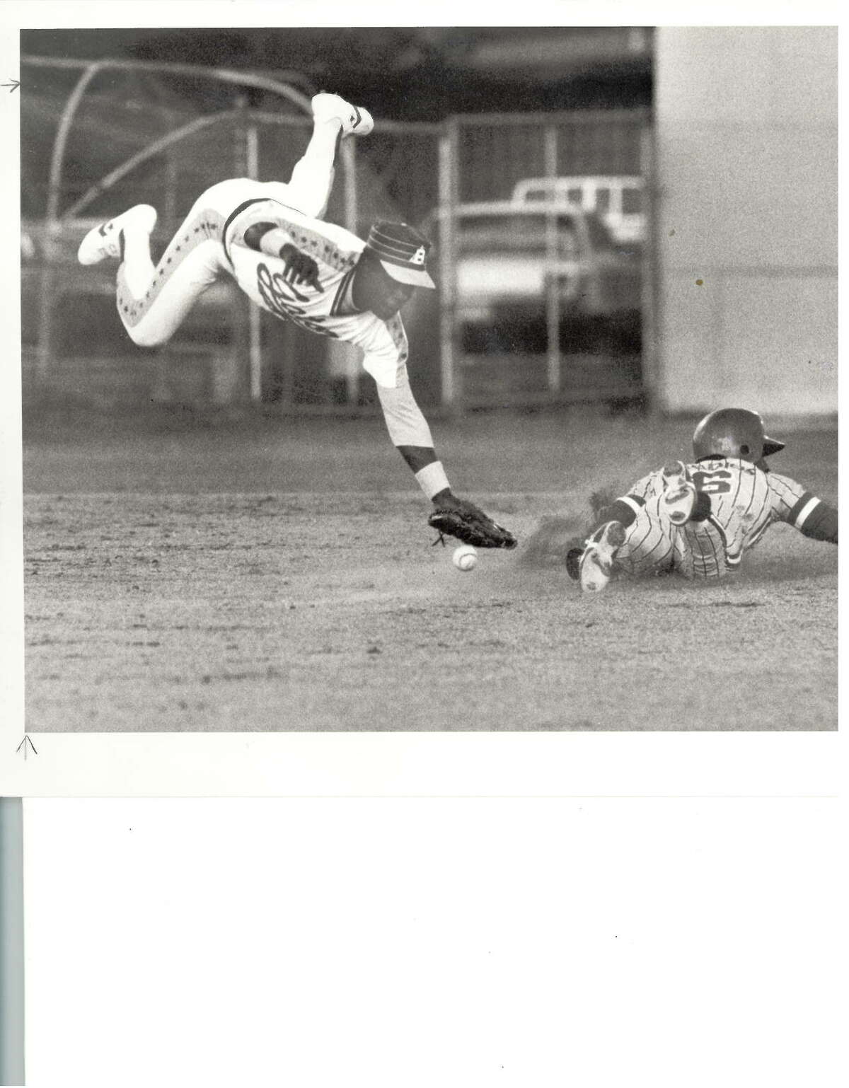 Golden Gators revisited