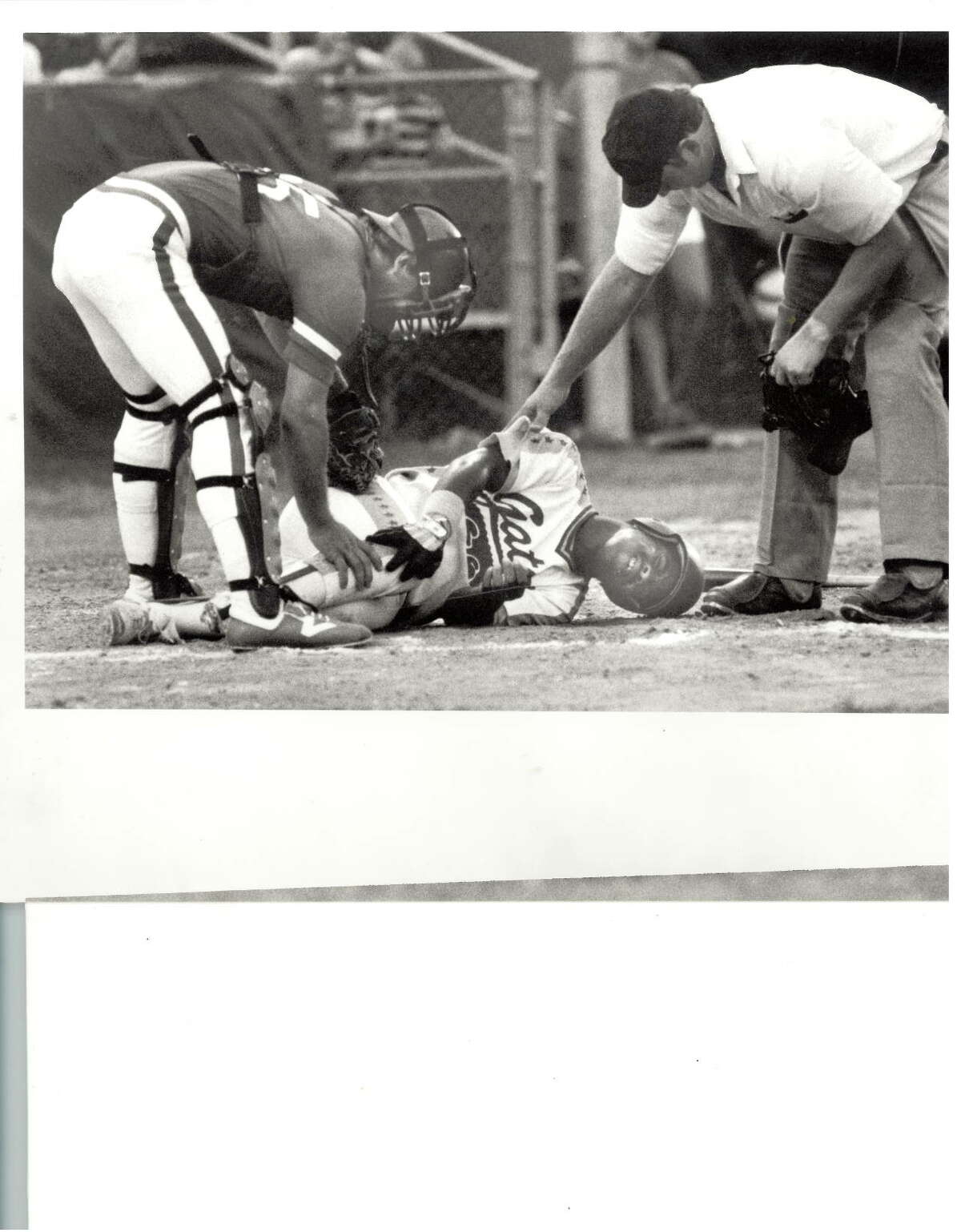 Golden Gators revisited