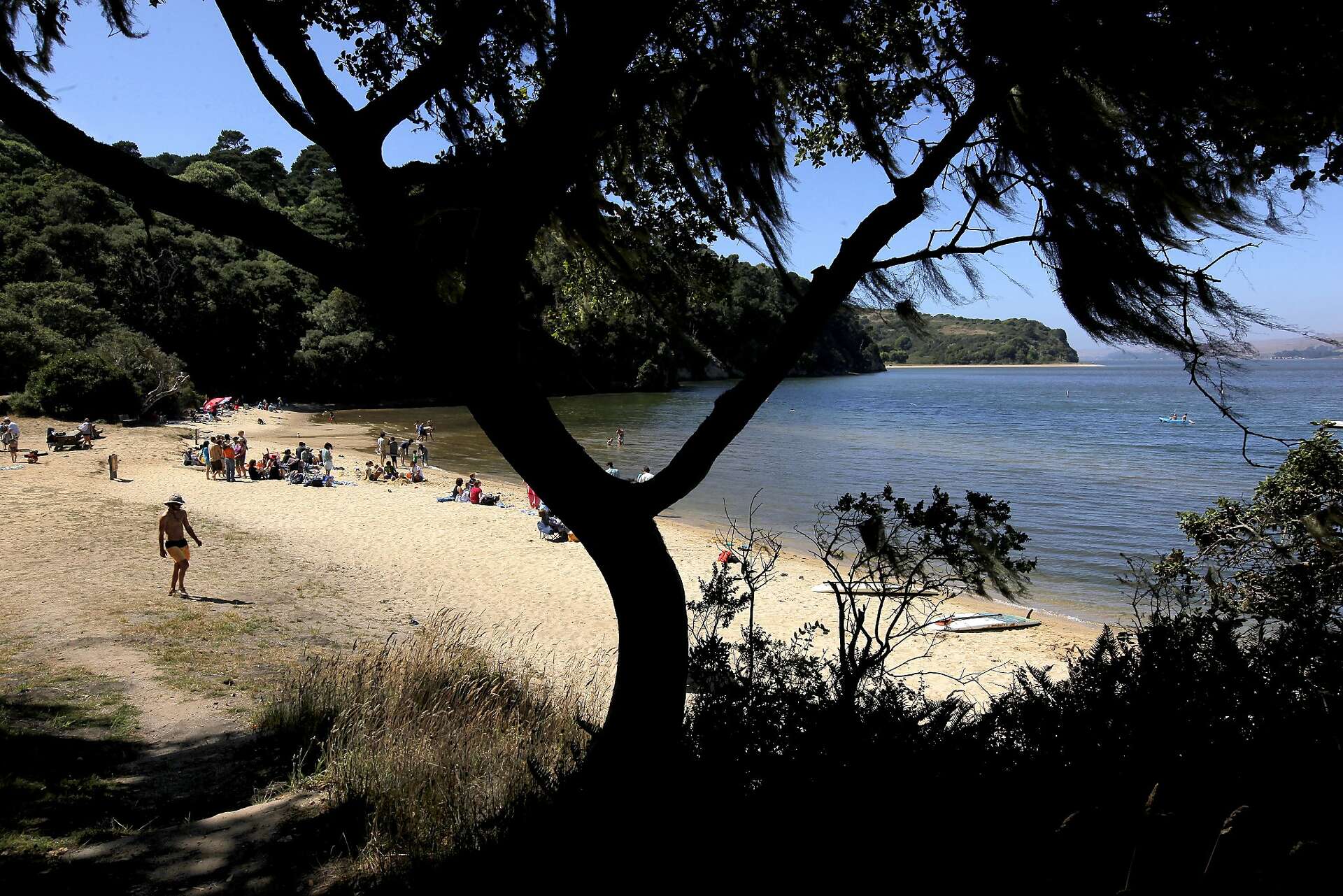 The last 100 years of shark attacks in the Bay Area mapped