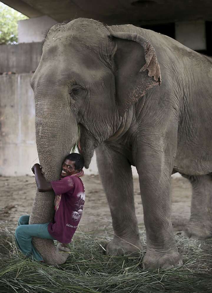 SFGate: Day in Pictures