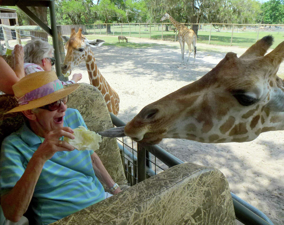 Wild things on Florida's nature trail