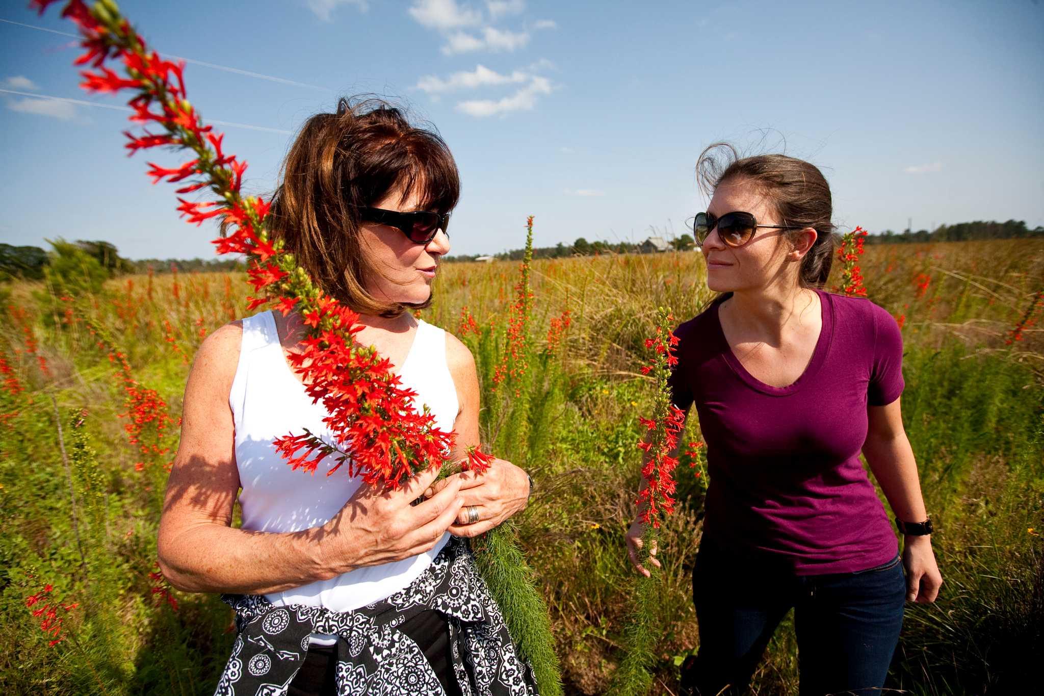 Mitchells restore land to pre-settlement condition