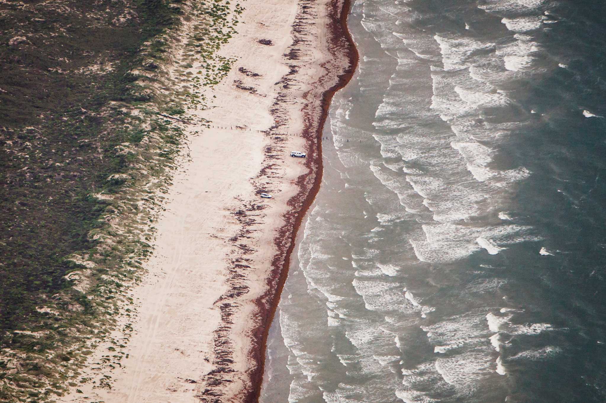 Fewer drug fortunes washing up on Texas beaches