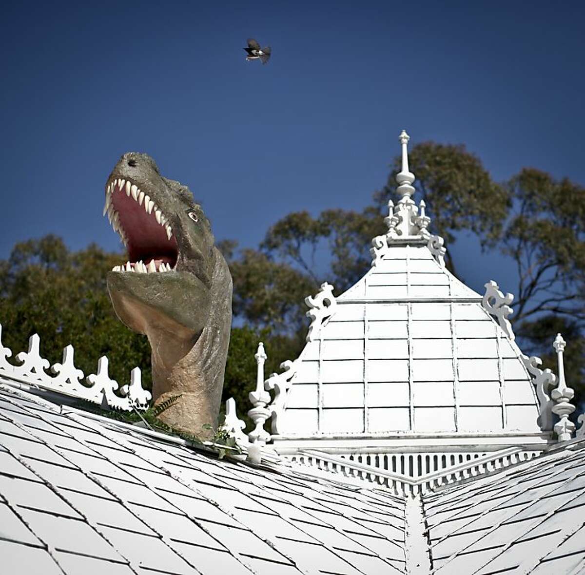 S.F. conservatory scales new territory with T. rex