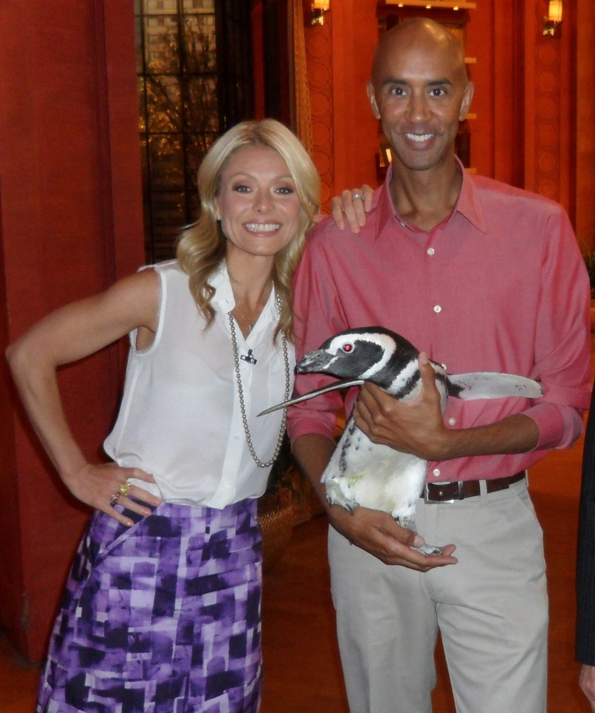 Cureau to tout great animal dads on 'Live!' today