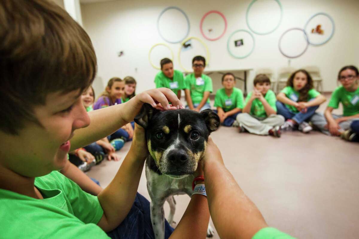 Local kids learn about rescued animals during the Houston SPCA Critter Camp