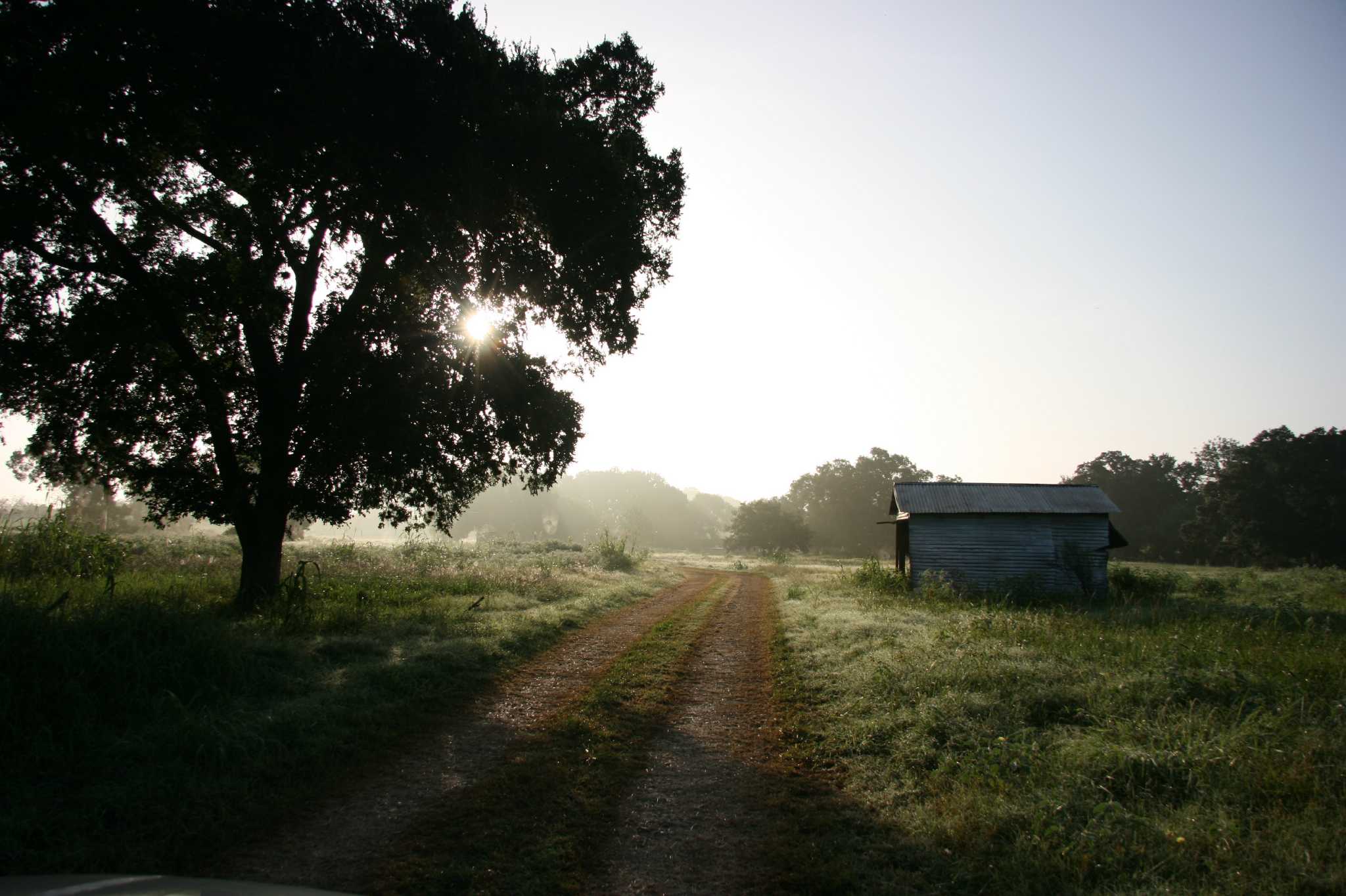 Relax into the country life