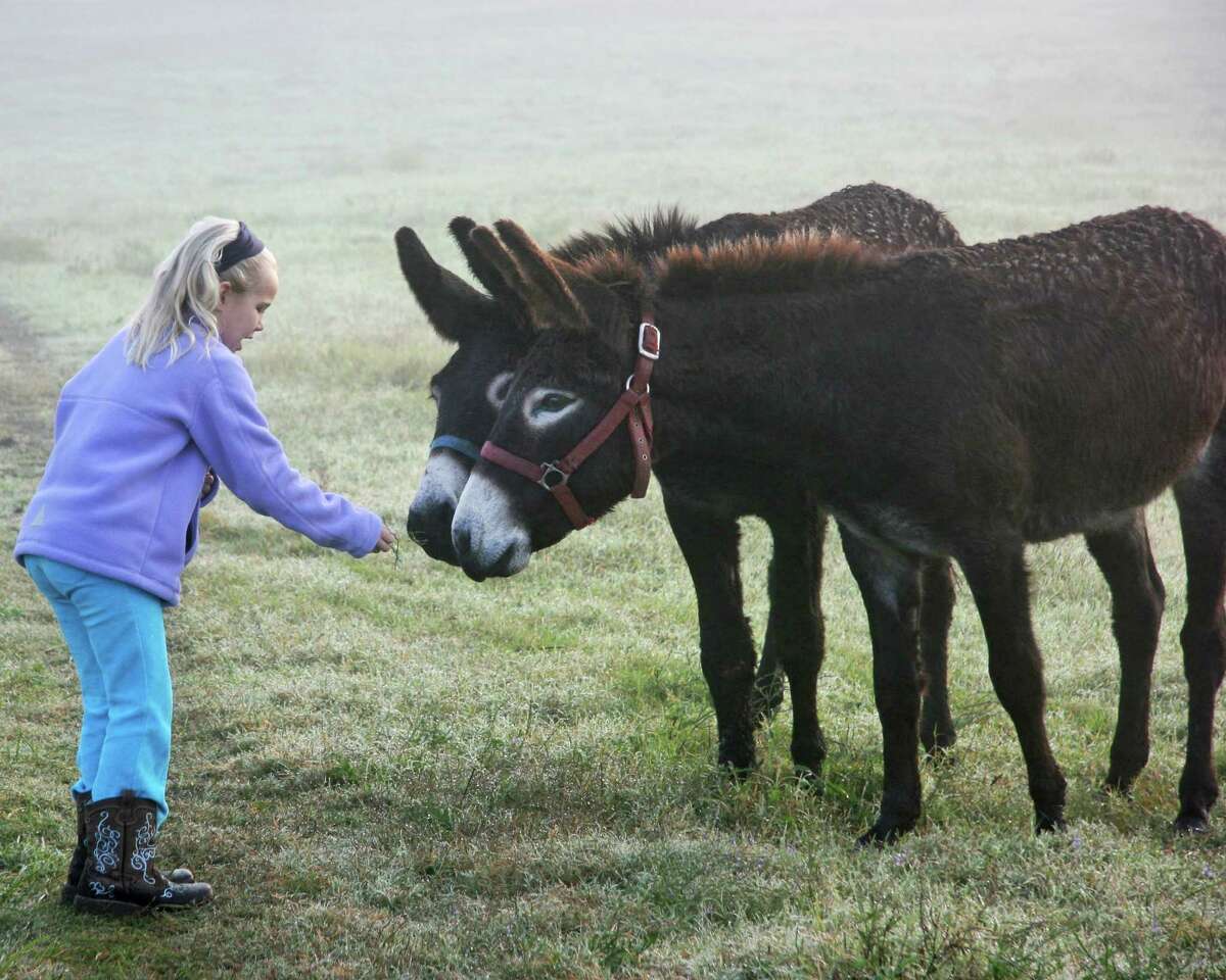 Relax into the country life