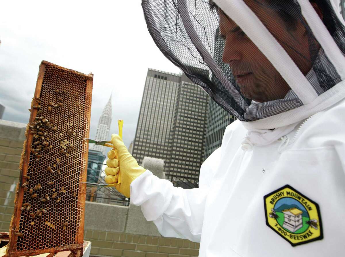 Space shuttle Enterprise arrives at Manhattan home