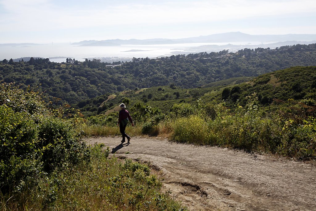 Inspiration Point offers stunning S.F. Bay views
