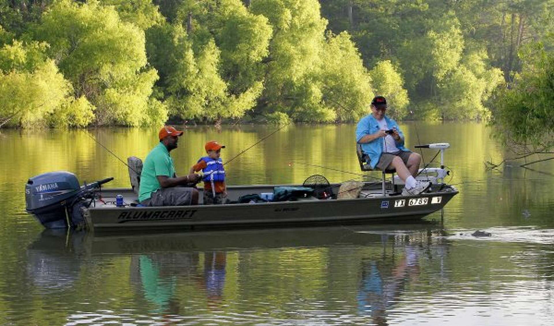 Study finds 'spectacular complexity', tool use among alligators