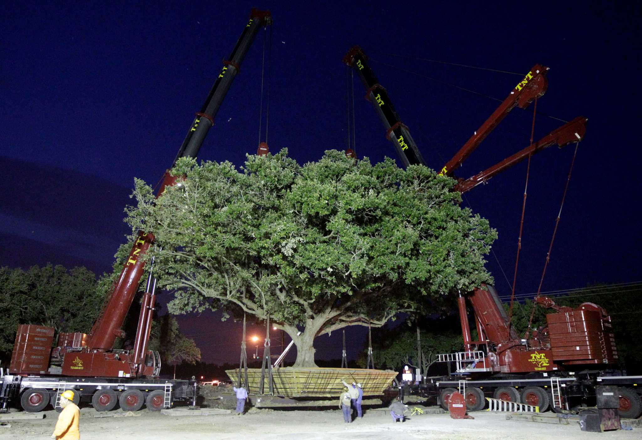 300-ton tree on the move